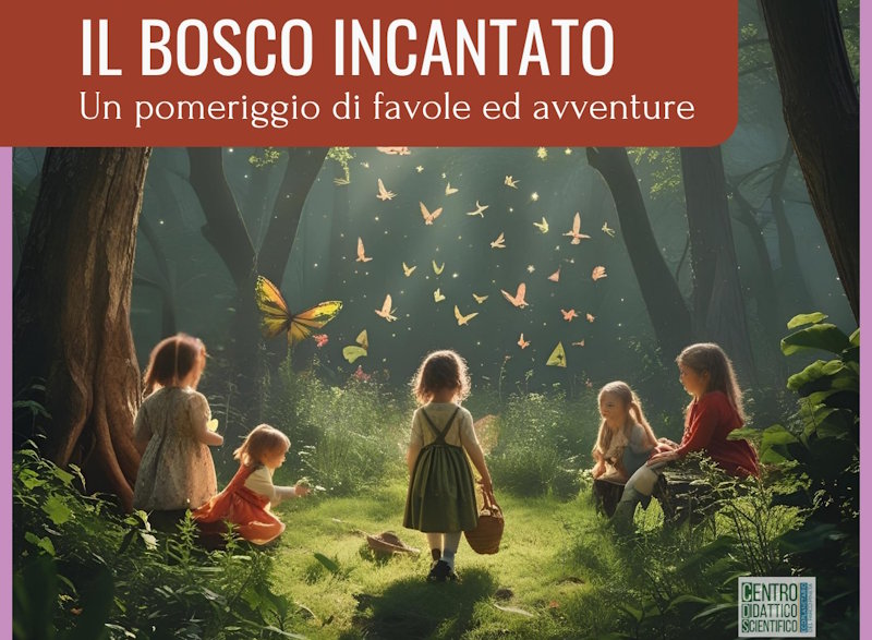 Il (Piccolo) Bosco Incantato: una giornata di fantasia e natura ...
