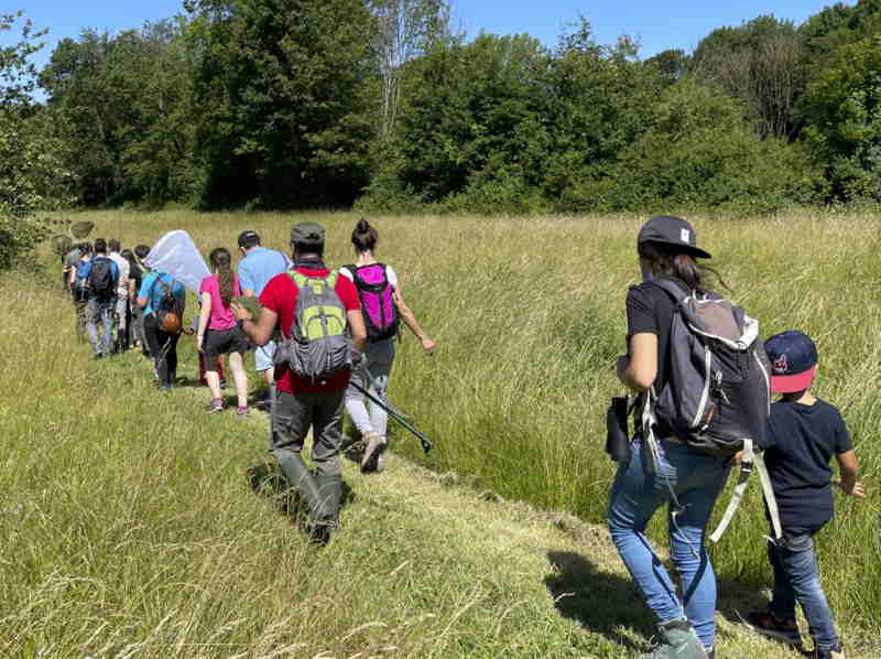 Passeggiata all'Oasi della Palude Brabbia-In natura