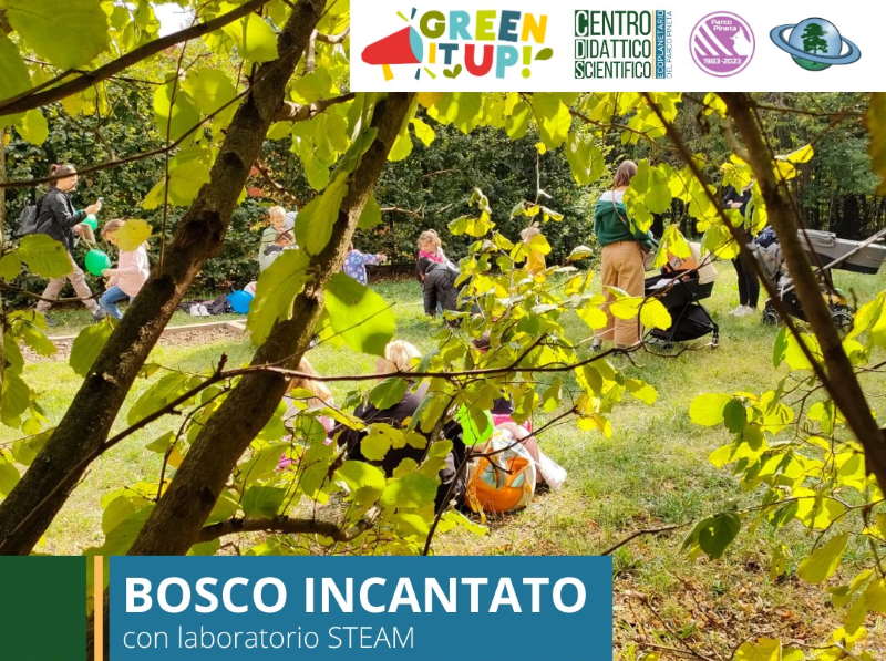 Il bosco incantato al Parco Pineta-In natura