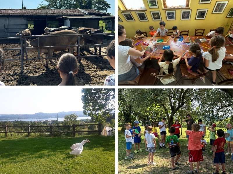 Campo estivo in inglese Daisy English Summer Camp - Varese