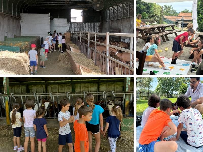 Daisy English Summer Camp, campo estivo in inglese - Casciago