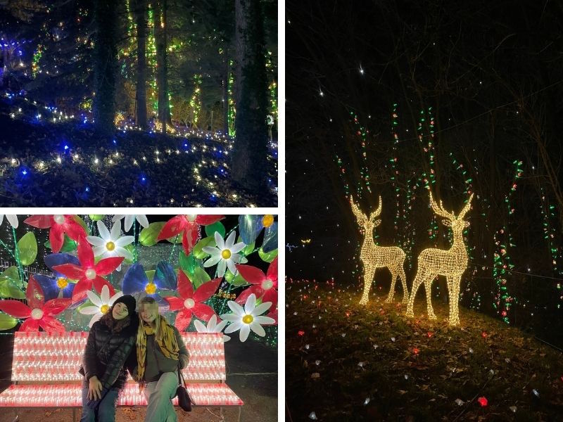 Le Lucine di Natale - Leggiuno-Natale