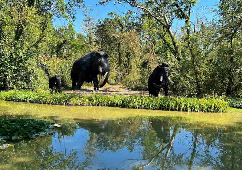Avventura al Parco della Preistoria di Rivolta d'Adda!