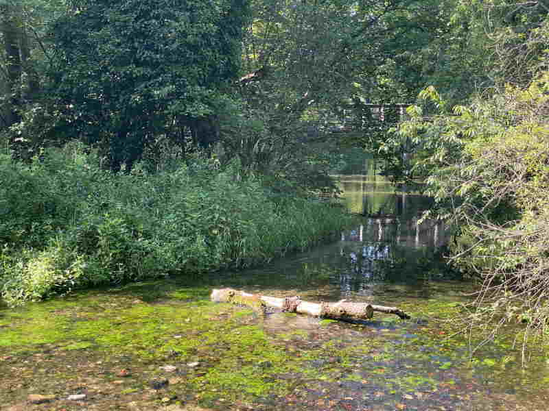 Parco La Fagiana, al fresco nel bosco!