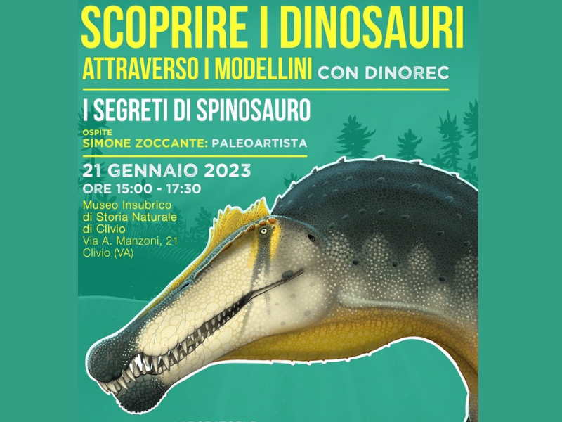 Scoprire i dinosauri attraverso i modellini con Dinorec