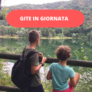 Mostra LEGO® al Centro Commerciale Rescaldina