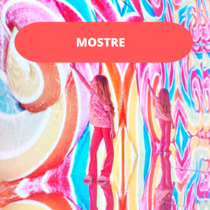 Mostra LEGO® al Centro Commerciale Rescaldina