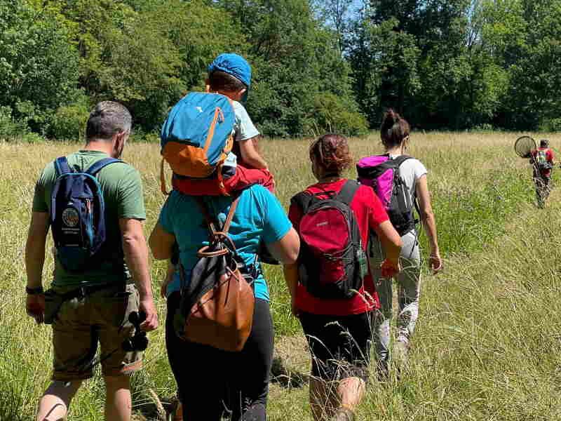 Il Condominio degli Aironi, visita guidata in palude
