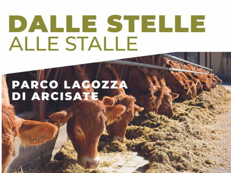 Dalle Stelle alle Stalle ad Arcisate (VA)