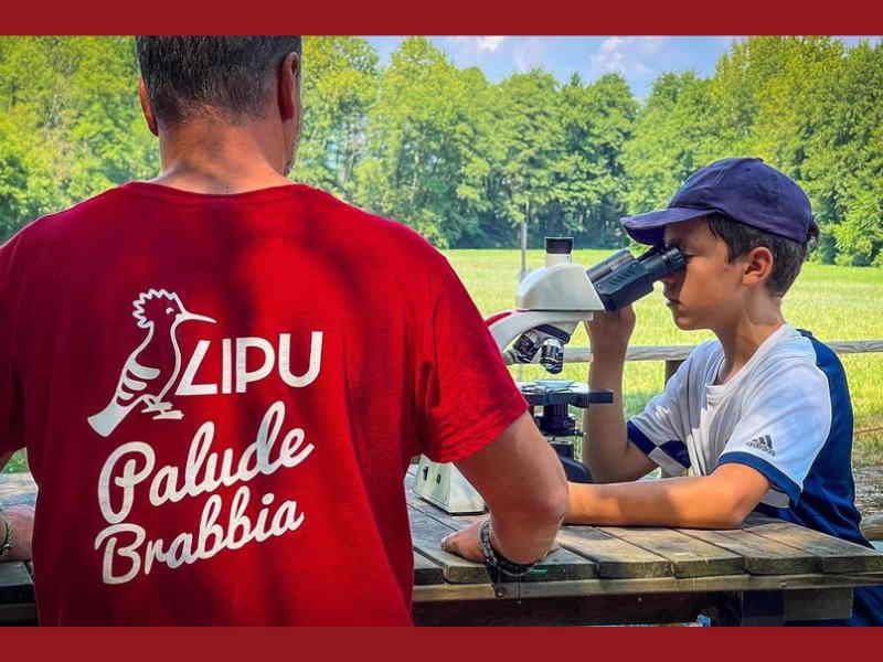 Laboratorio Micro Mondo alla Palude Brabbia