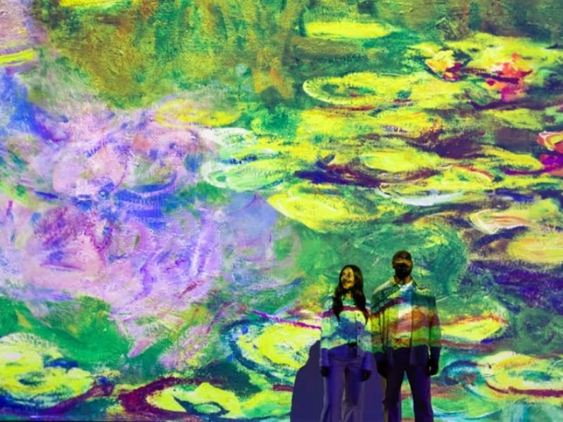 Mostra LEGO® al Centro Commerciale Rescaldina